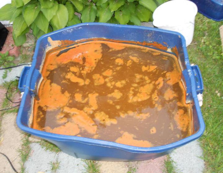 Home Made Electrolysis Tank - The BangShift.com Forums